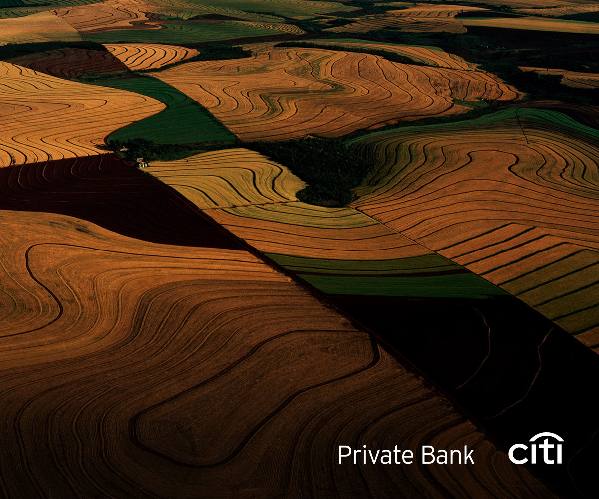 Understanding concentrated stock positions | Citi Private Bank